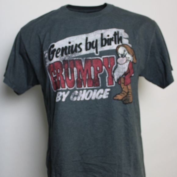 Disney | Shirts | Walt Disney World Grumpy Large Graphic T | Poshmark